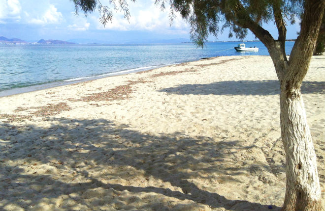 Tigaki Kos - vakantie en tips - Griekenland.net